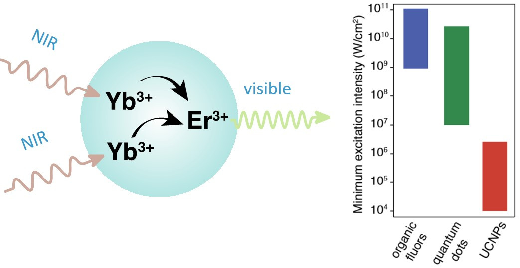 Upconverting nanoparticles: fundamental properties and applications ...